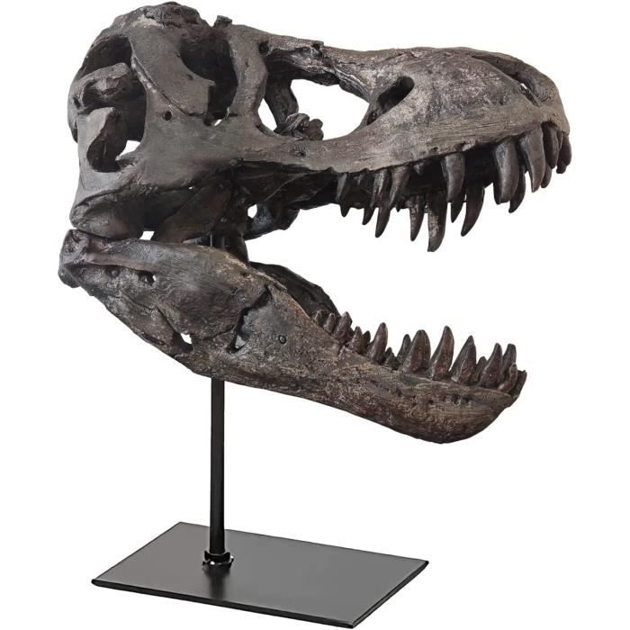Statue de crâne de T-Rex, Dinosaure Sculptures Tyrannosaurus Rex Résine ...