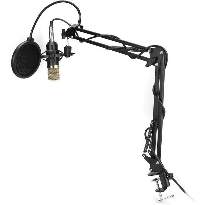 Kit de Microphone, Facile à Transporter Kit de Microphone à ...