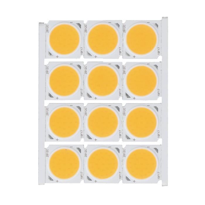 Puce LED - EJ.LIFE - COB - Luminescence douce - Aluminium - 12W ...