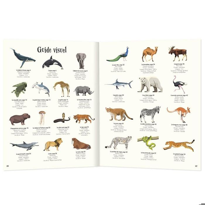 Livre documentaire - L'anthologie illustrée des animaux fascinants ...