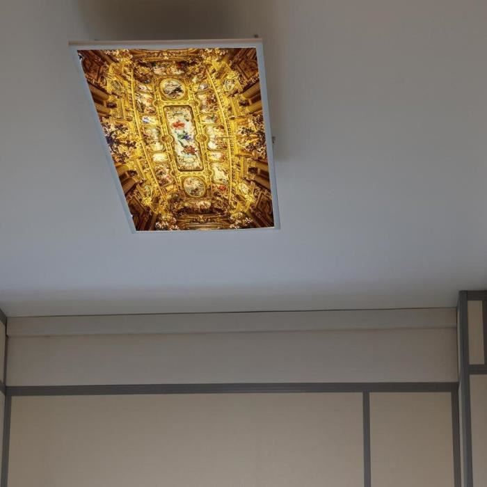 Ceiling Light Covers Fluorescent Filter Or, Cache-Luminaires ...