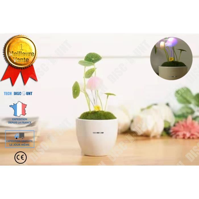 Veilleuse - TD® - Lampe LED - Décoration lumineuse - Design pot de ...