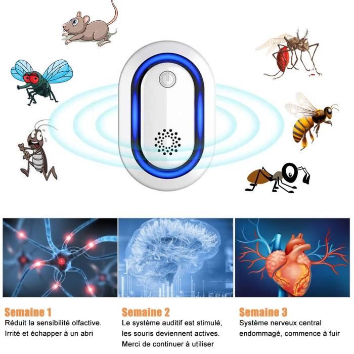 Répulsif Ultrason Souris, Anti Rongeurs Insectes Anti Moustiques, 2 ...