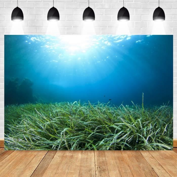 NBK17765-Vinyle 300x200cm-Décor de paysage d'arrière-plan pour aquarium ...