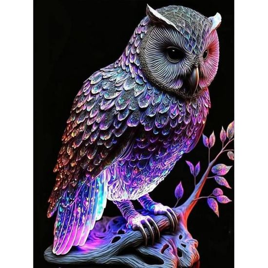 Broderie Diamant Kit Complet Chouette Bricolage Diamond Painting Chouette Hibou Diamant Rond ...