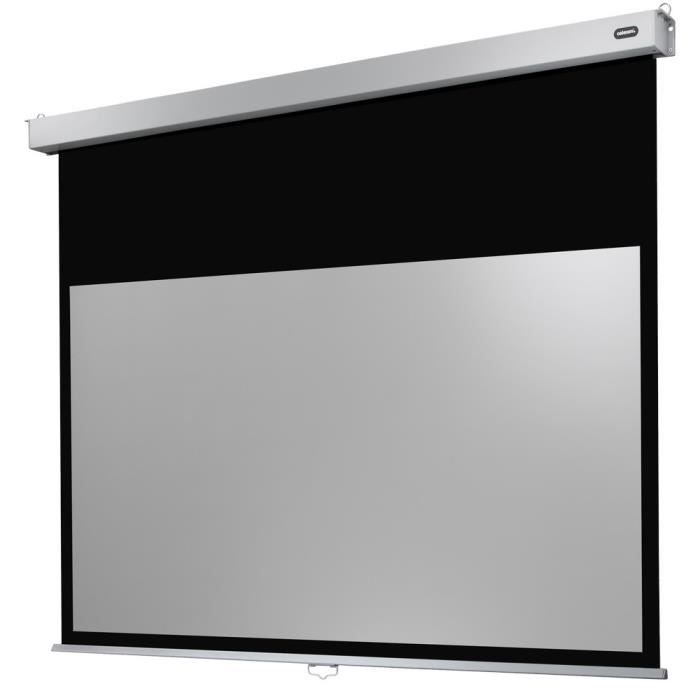 Écran de projection manuel celexon PRO Plus 220 x 137 cm - CELEXON ...