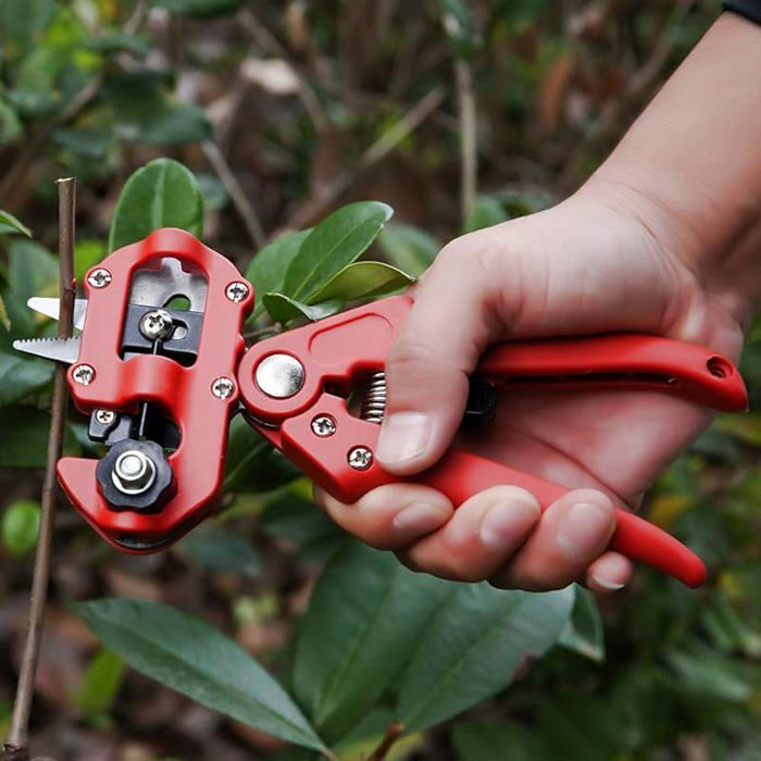 Garden Grafting Tool Grafting Tool Fruit Tree Grafting Tool Grafting ...