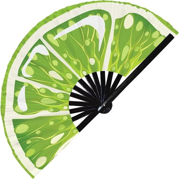 Éventail À Main Pour Fruits Et Tranches De Fruits - Orange - Kiwi ...