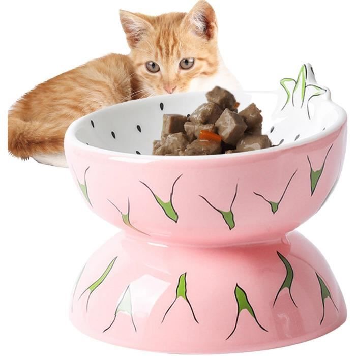 Bol Pour Chat Surélevé En Céramique | Bol De Nourriture Pour Chat ...
