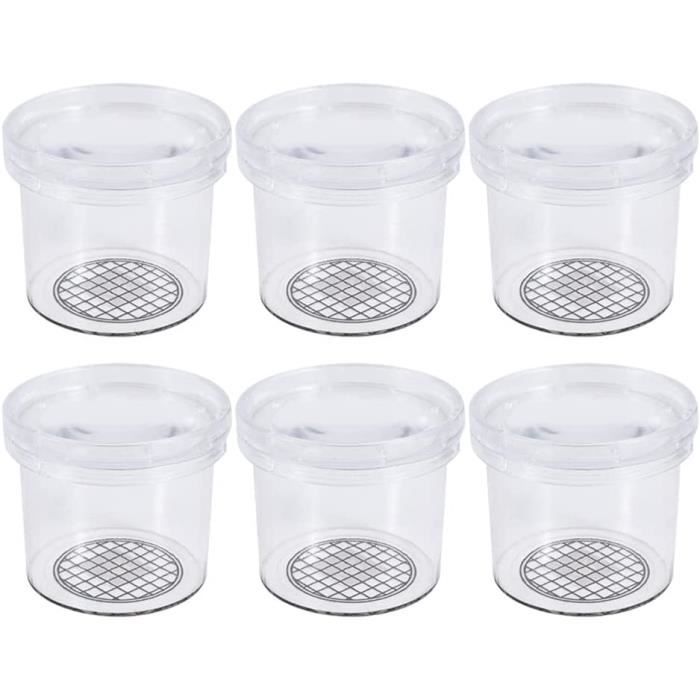 6 Pièces D Insectes Loupe Boîte, D Insectes Bug Loupe Container Catcher ...