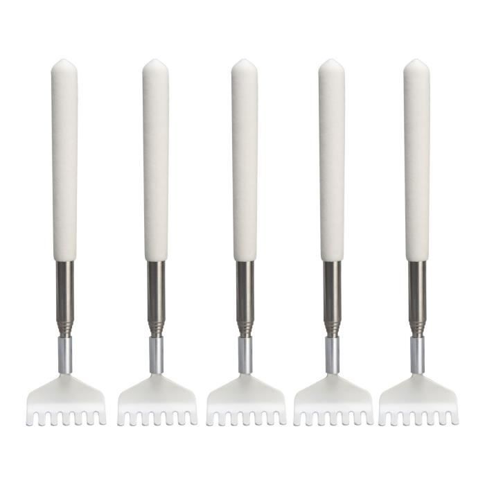 EBTOOLS grattoir dos extensible 5 pièces grattoir à dos extensible ...