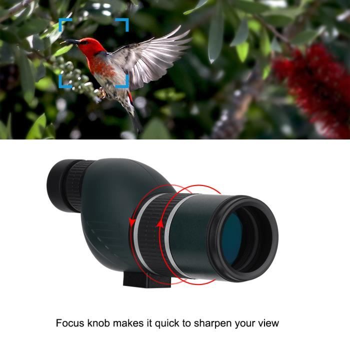 EJ.life télescope Extérieur 12-36X Zoom 50mm Droit/Angle Spotting Scope ...