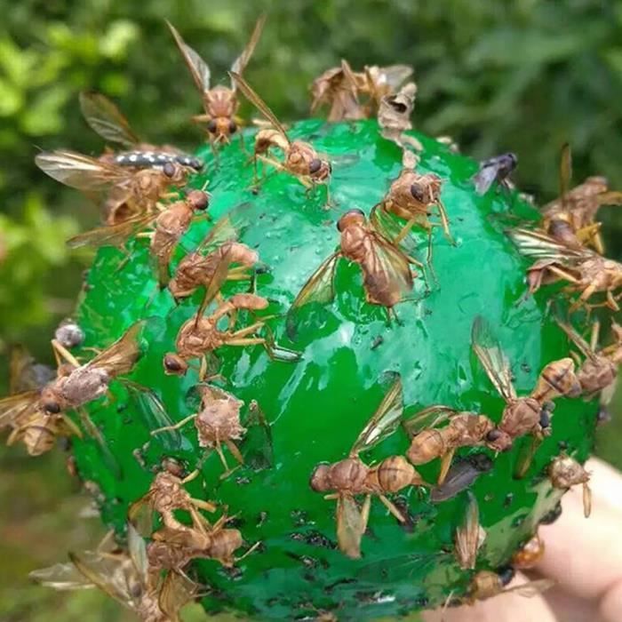 Minifinker 8pcs Piège à Mouche Suspendu Boule Attrape-mouches Collant ...