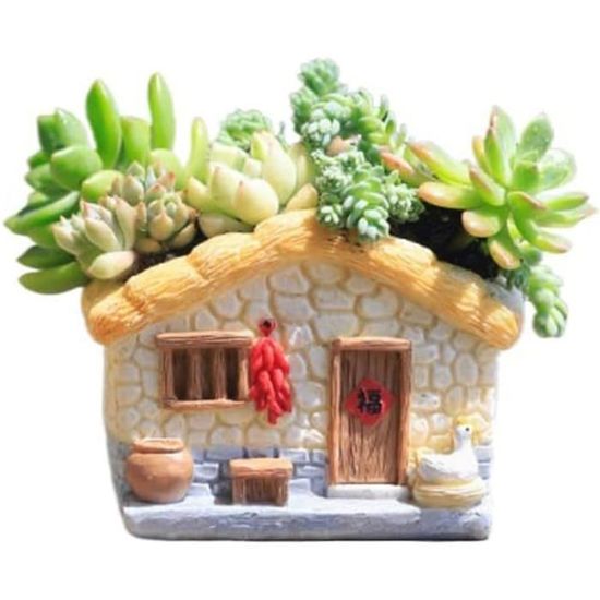 Pots de plantes succulentes, ferme succulente pot maison forme bonsaï ...