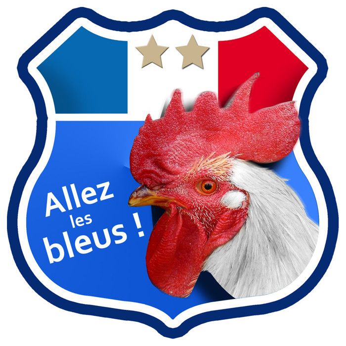 Allez les bleus deux étoiles ! - 20x20cm - Autocollant/Sticker ...