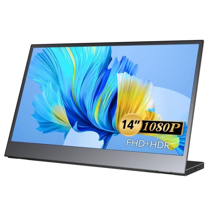 Ecran Portable 15” FHD 1500:1 100% sRGB FHD 1080P IPS Ecran USB C HDMI ...