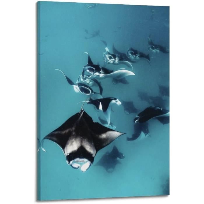 Poster Animaux Marins Raies Manta Dans Des Groupes - Décoration Murale ...