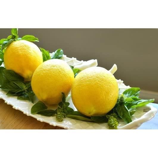 Graines de basilic citron- sachet de 1,5 grammes -[495] - Cdiscount Jardin