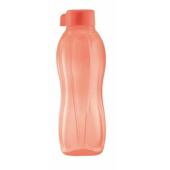 TUPPERWARE Eco bouteille 310 ml couleur Saumon, gourde, pour la soupe ...