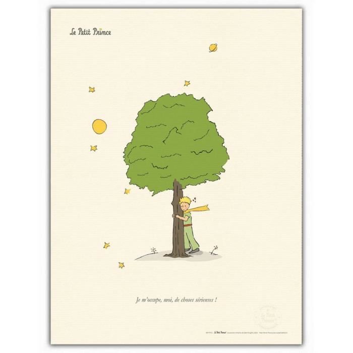Posters et affiches - Poster affiche d'art Oneart (Le Petit Prince et l ...