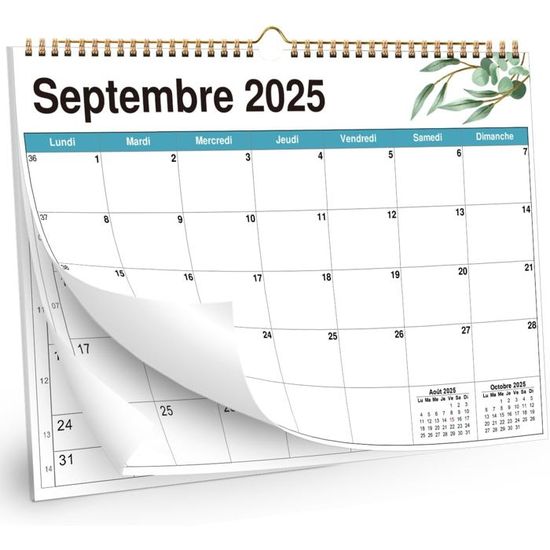 Calendrier Mural 2025-2026 A4 | Sept. 2025 à Déc. 2026 | Planificateur ...