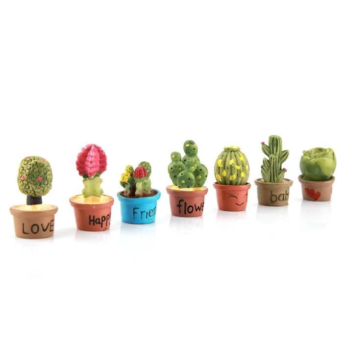 Plante miniature - CIKONIELF - 7 plantes en pot - Cadeau enfant ...