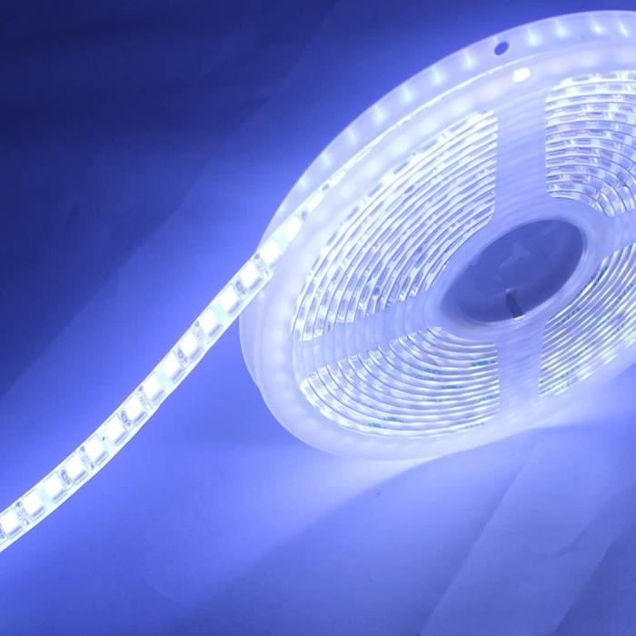 Joylit Ruban à Led Blanc Froid 6500k 5 Mètres Dc 12v Ip65 Étanche 600
