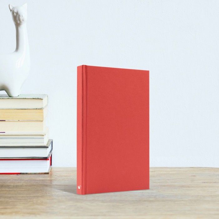 Carnet photo Studio rouge 200 pages PANODIA- Rouge - Cdiscount Beaux ...