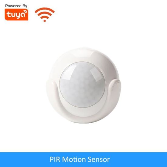 Capteur de mouvement pir - Détecteur de porte et fenêtre intelligent ...