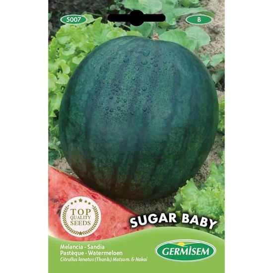 Graines Pastèque Sugar Baby[J827] - Cdiscount Jardin