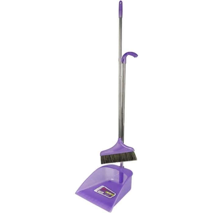 Mane Broom et Dustpan Set Haut de Gamme Simple et à la Mode Pig Cheveux ...