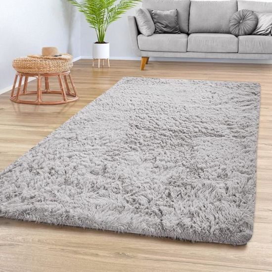 Tapis De Salon Tapis Shaggy Poil Long Doux Peluche Design Moderne Monochrome, Couleur: Gris ...