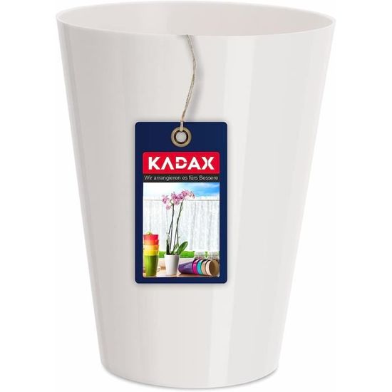 Pot De Fleurs, Mince Et Simple Pour Orchidée, Marguerite, Pour Cuisine ...