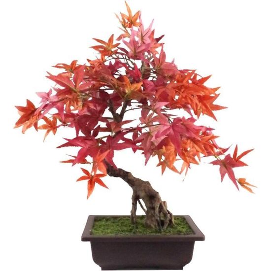 Leaf Arbre Artificiel en érable Rouge bonsaï 50 cm112 - Cdiscount Maison