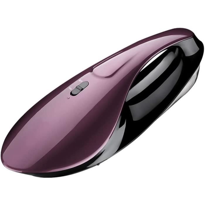 Défroisseur Vapeur,Portable Fer De Voyage Défroisseur,Repassage ...