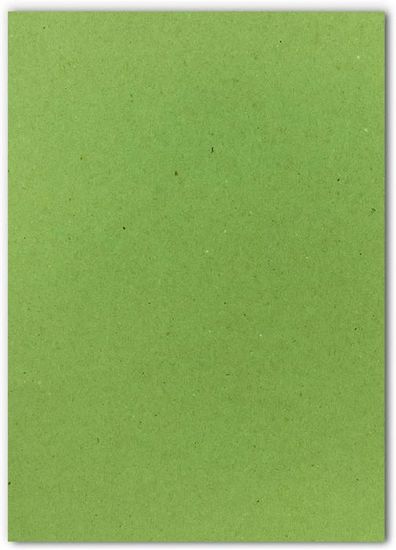400x A5 Papier couleur: vert clair (papier recyclé) 148 x 210 mm 120 g ...