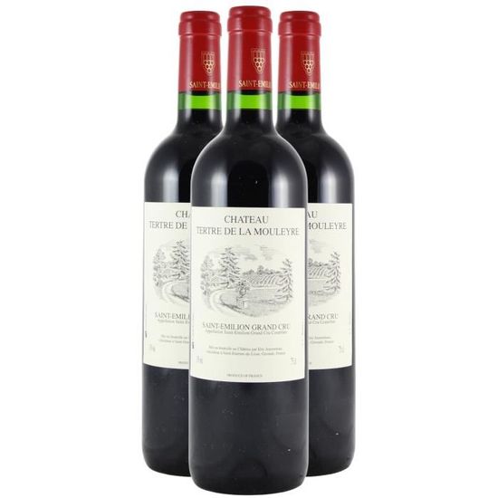 Château Tertre De La Mouleyre Rouge 2019 - Lot de 3x75cl - Vin Rouge de Bordeaux - Appellation ...