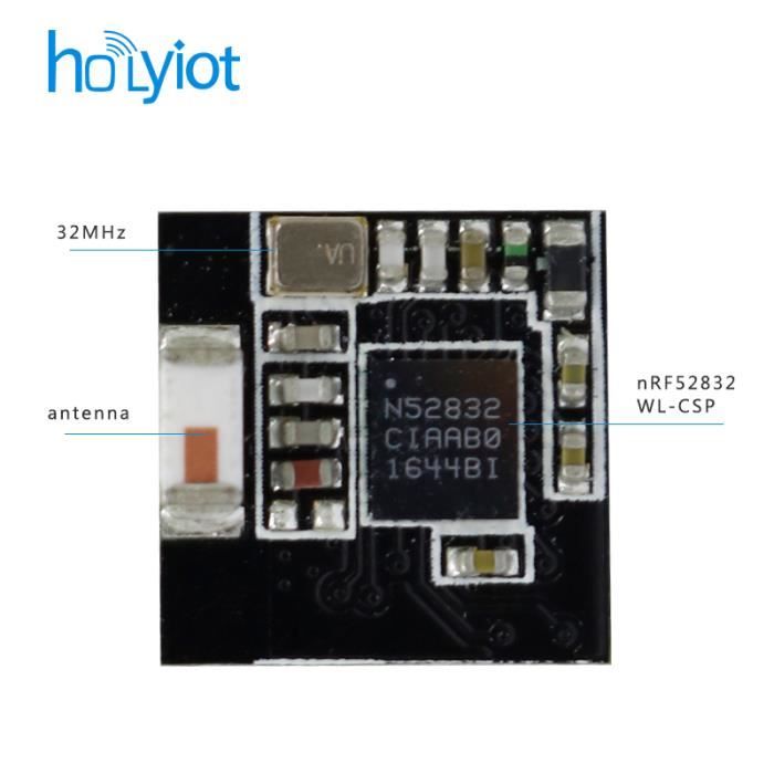 Type A-Holyiot-Récepteur émetteur Bluetooth sans fil, technologie RF FCC CE, nRF52832, Transcsec ...