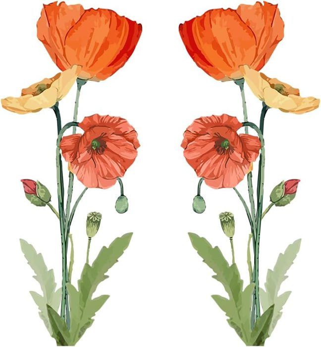Coquelicot Fleur Stickers Muraux Rouge Floral Sticker Chambre Tête de ...