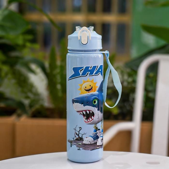 Gourde Enfant 750ml,Bouteille d'eau Animé italiennes Brainrot Tung ...
