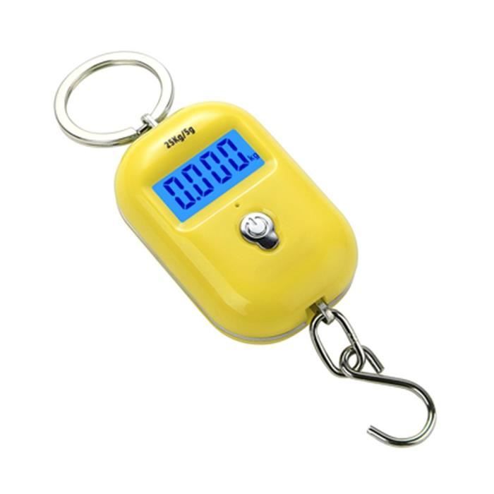 Balance numérique suspendue à Mini crochet 25kg-5g,outil de pesage ...