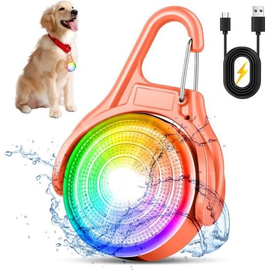 Dokkita Lere Chien Nuit Rechargeable (Changement de Couleur RGB + 4 Modes de Clignotement ...