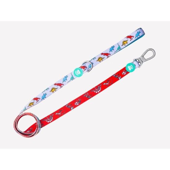 Sangle Pour Chien Extensible Et Robuste Avec Mousqueton De Sécurité En ...