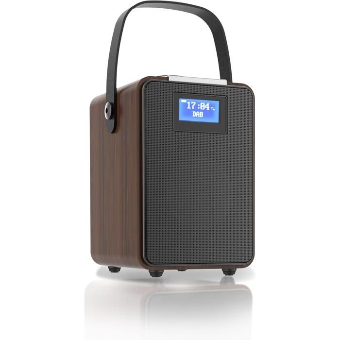 Radio DAB avec Bluetooth, deux réveils, rechargeable, DAB Plus/Dab+ ...