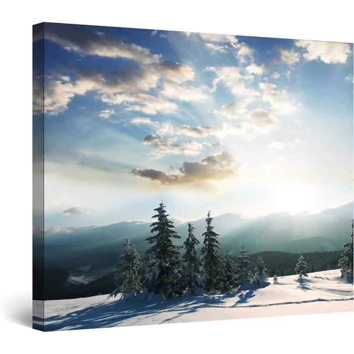 Impression sur Toile Hiver Lever du Soleil, Tableau Paysage Decoration ...