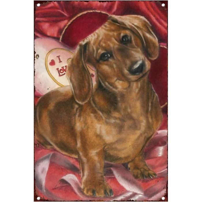 Poster Métallique Affiche,Teckel Chien Animal,Peinture Art Décoratif ...