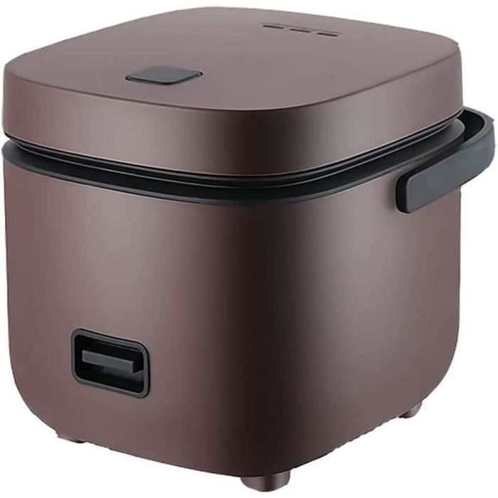 Mini Cuiseur À Riz Électrique Avec Marmite Antiadhésive Et ...