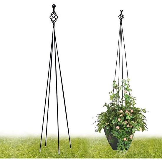 Tuteur Jardin, Colonne Rosier, Noir Pyramide Arches Plante Grimpante en ...