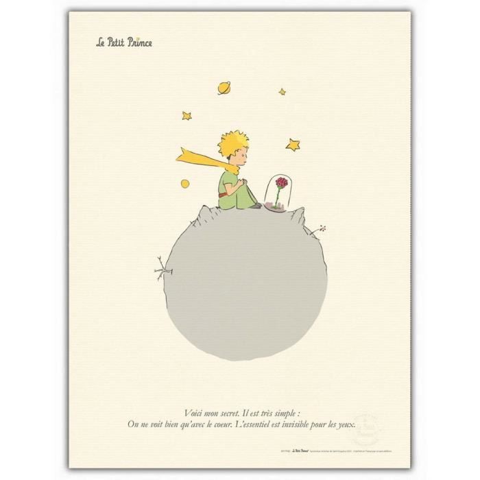 Posters et affiches - Poster affiche d'art Oneart (Le Petit Prince et ...
