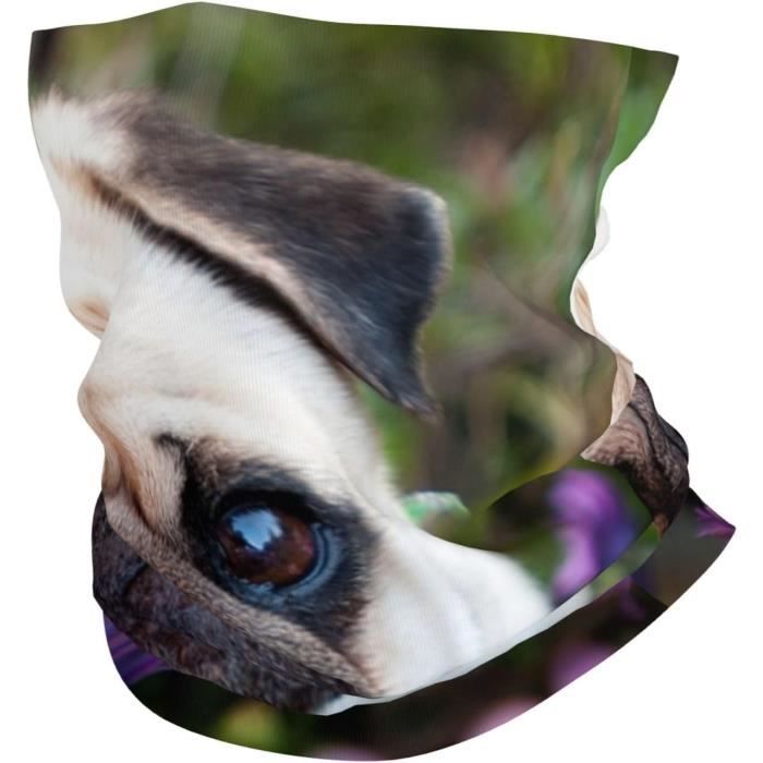 Carlins Dans Le Jardin Masque Facial Imprimé Bandanas Guêtre De Cou ...